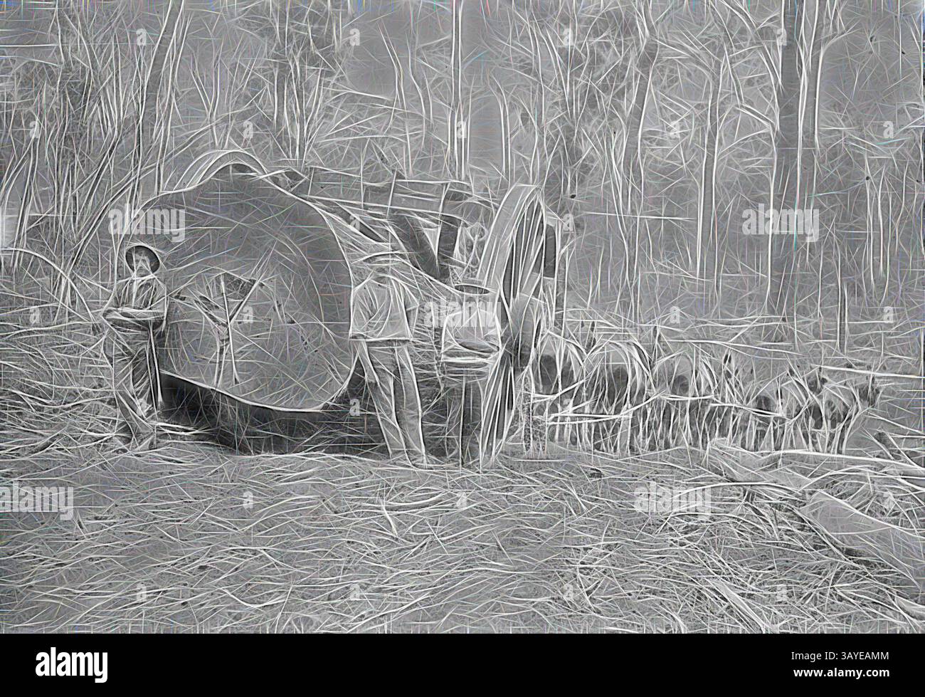 Timber frame from branches hi-res stock photography and images - Alamy