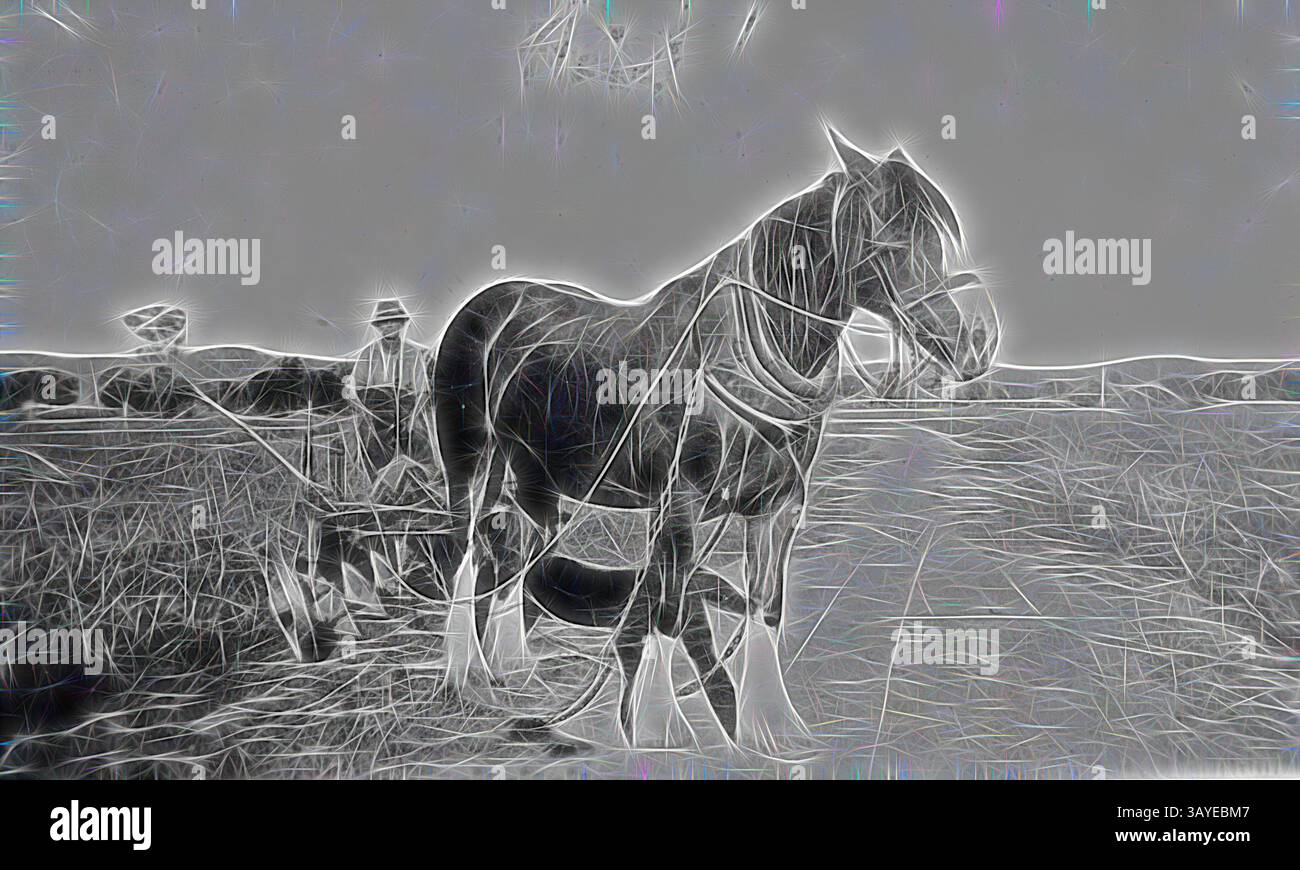 A draft horse stands in a field, pulling a plow while a couple of ...