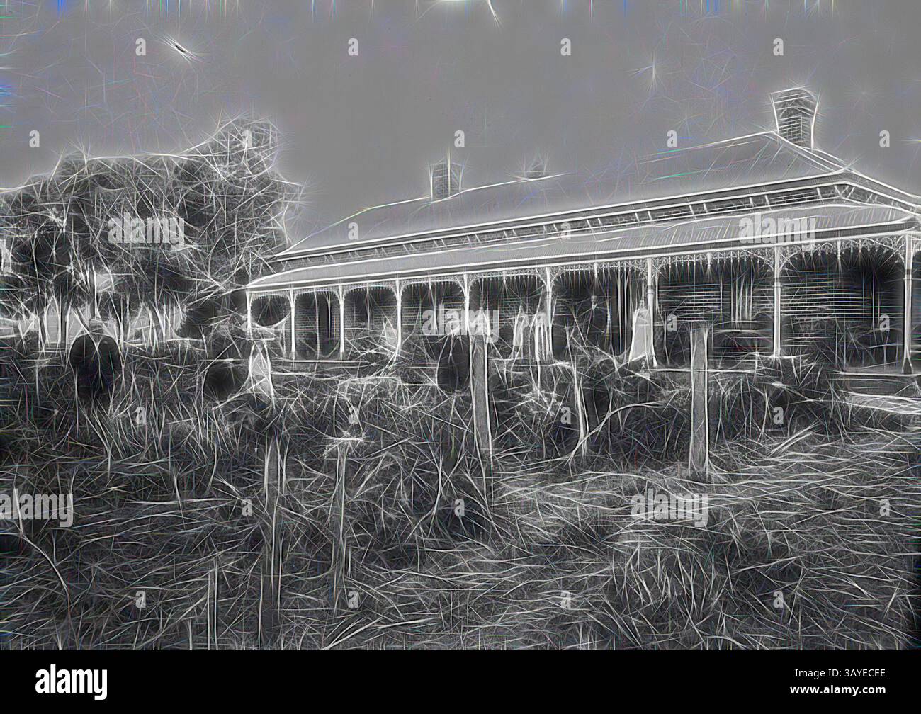 An old farmhouse with a spacious porch surrounded by overgrown grass ...