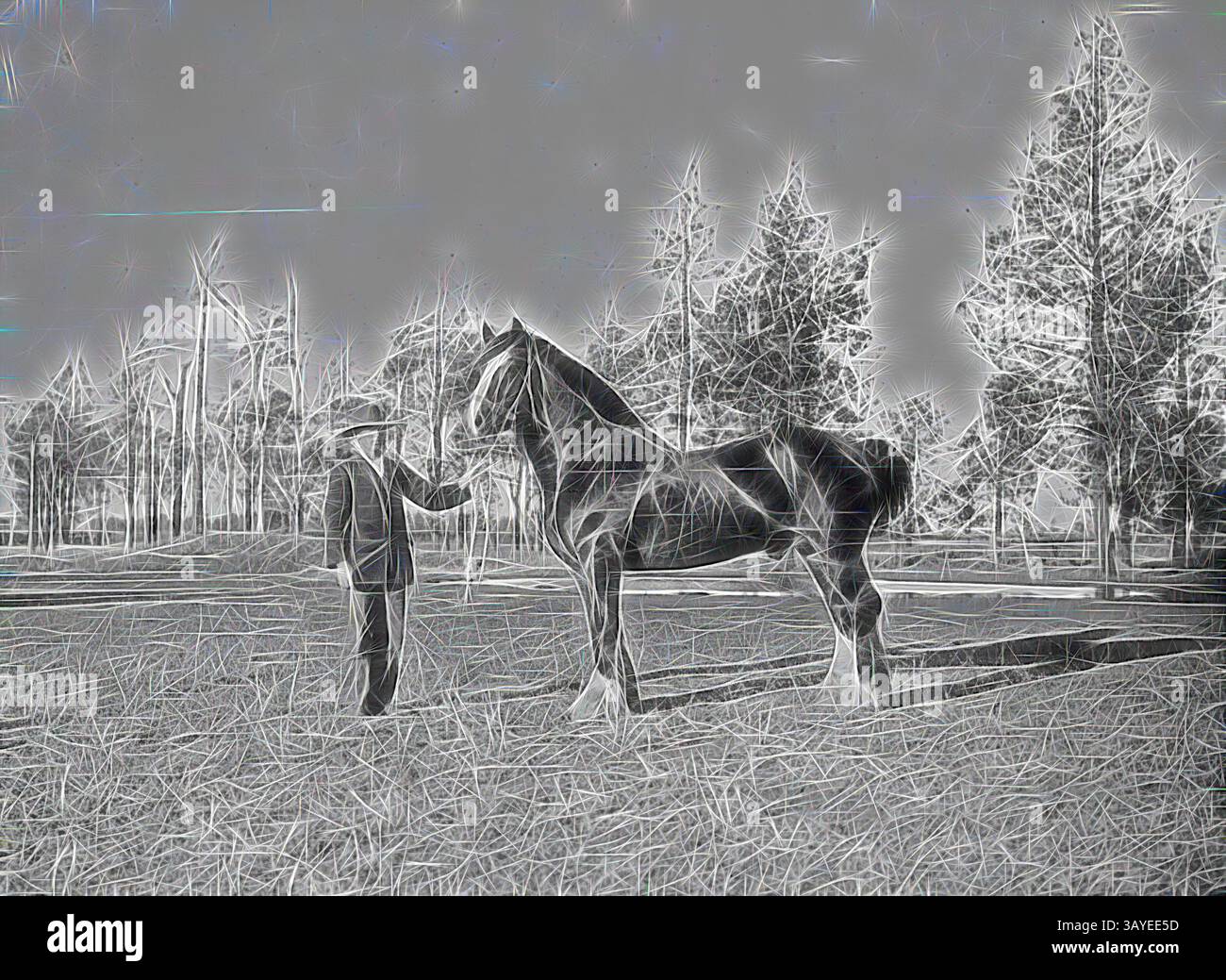 A man stands beside a majestic horse in a tranquil outdoor setting ...