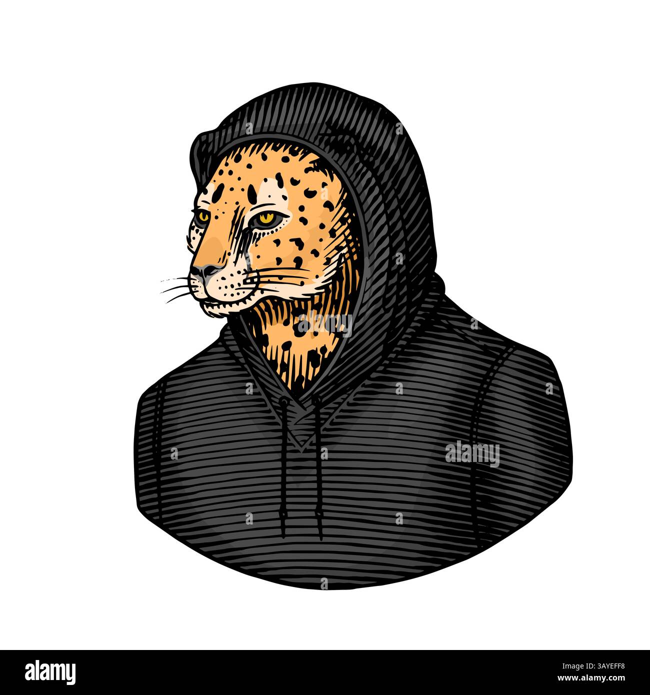 African cheetah in hoodie. Big wild cat in clothes in hand drawn ...