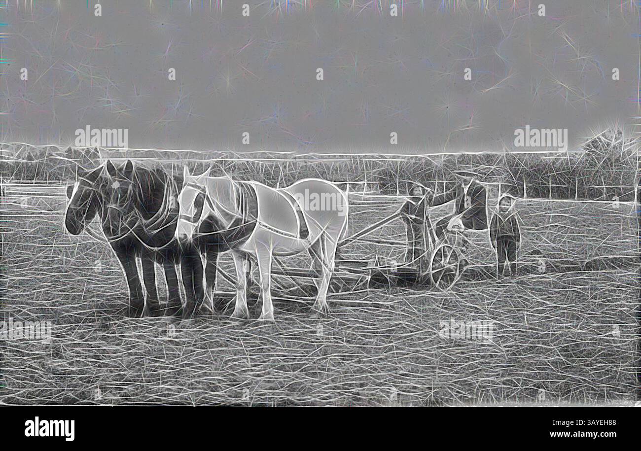 Two horses stand patiently while a farmer operates a plow in a field ...