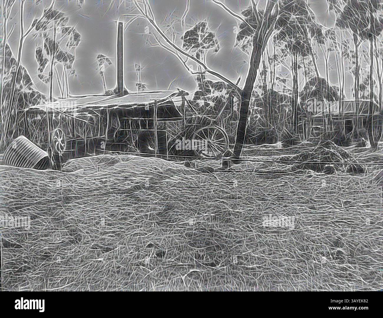 An old rustic shed surrounded by tall trees, with scattered hay and a ...