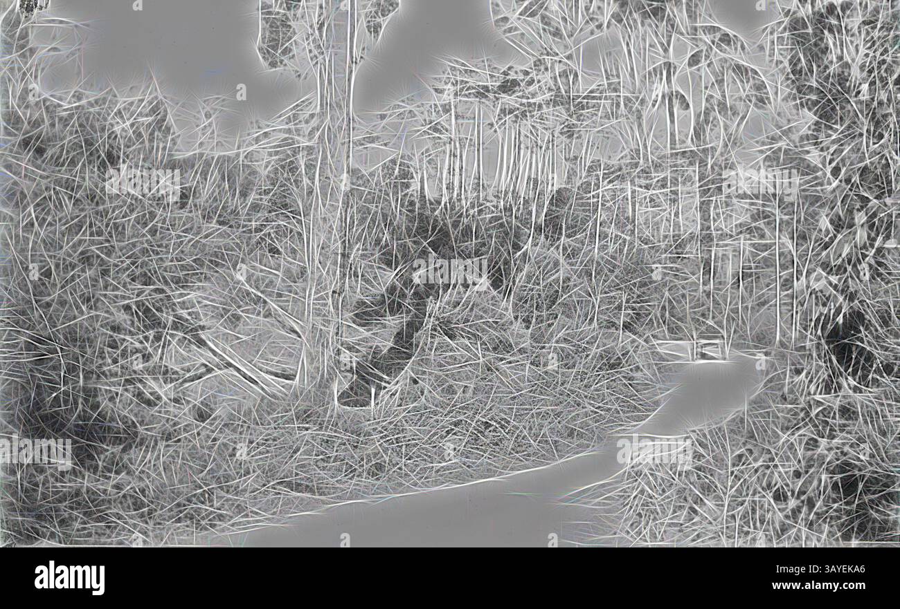 A dense forest scene is depicted, with tall trees and tangled ...