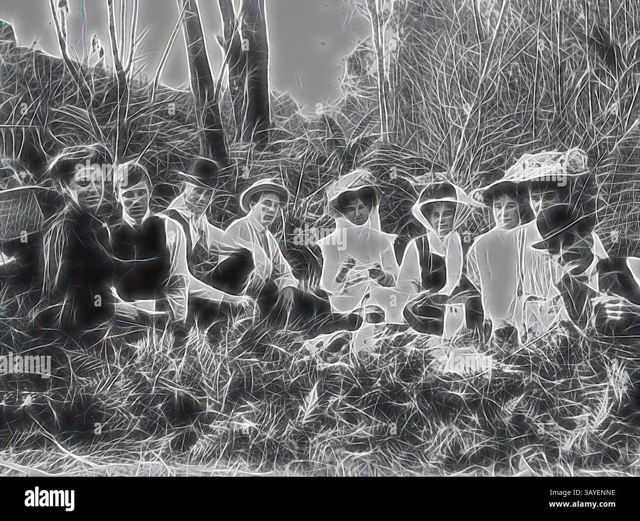 Picnic visuals hi-res stock photography and images - Alamy