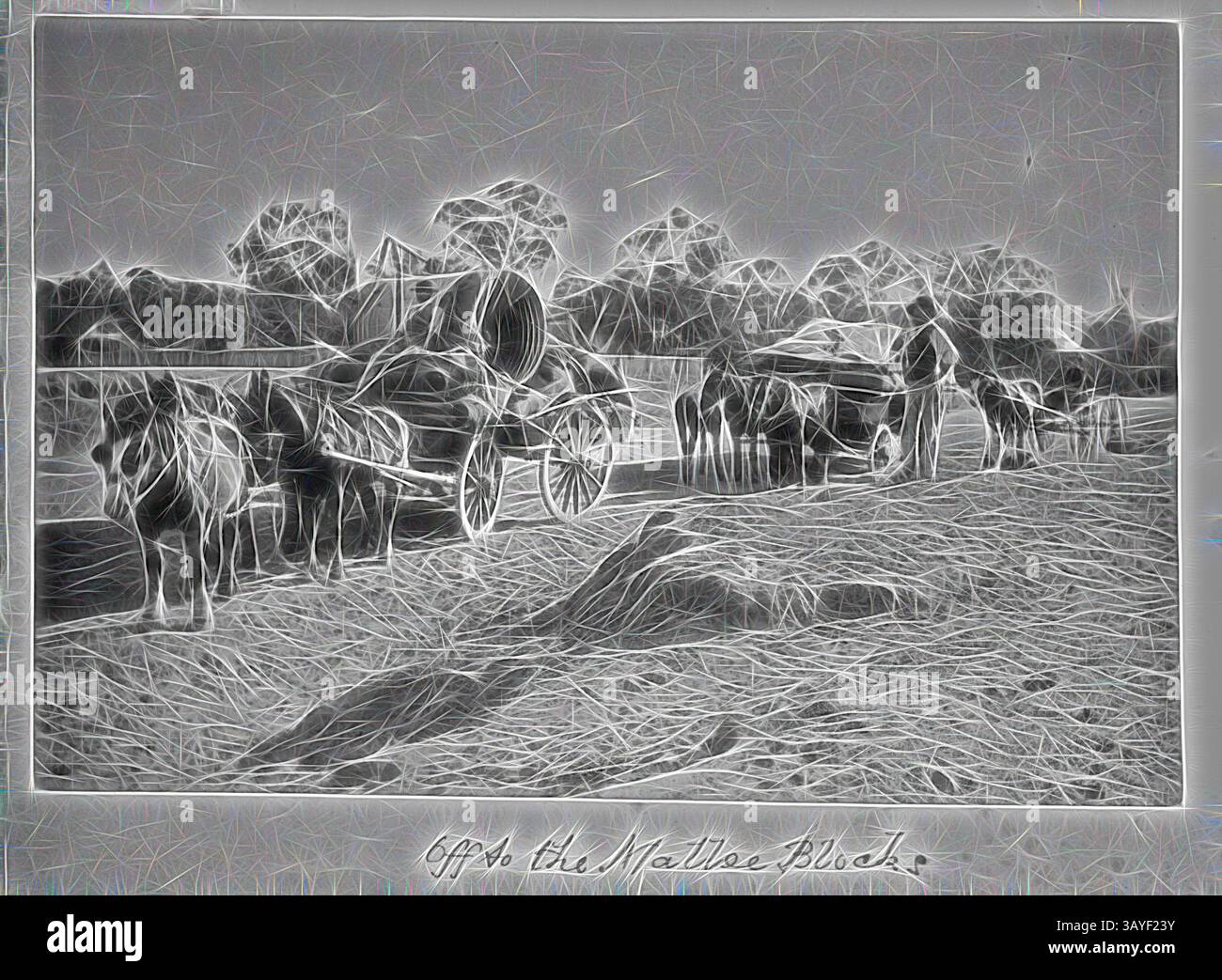 Highlighting traditional transportation methods hi-res stock ...