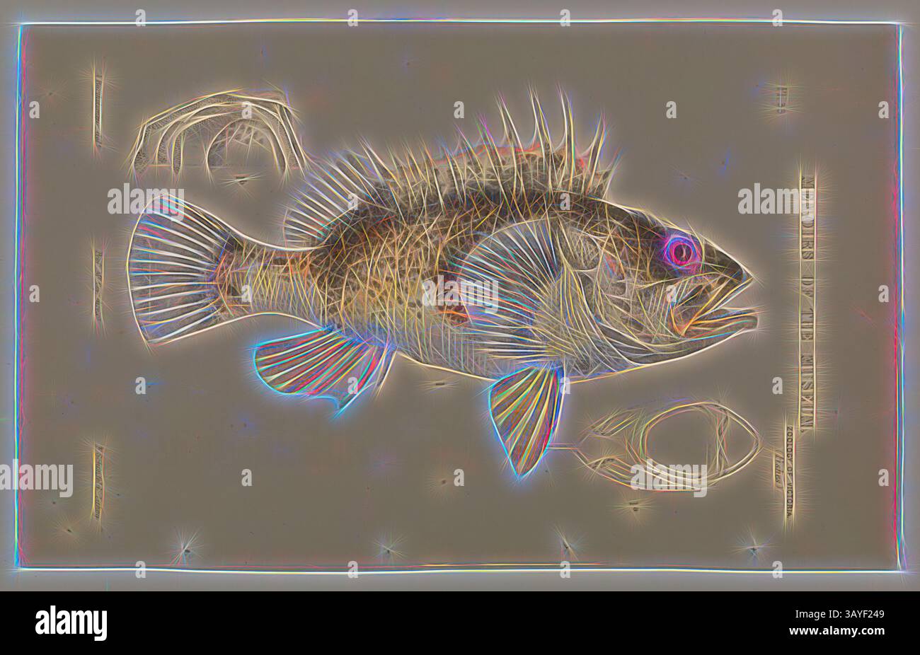 An abstract representation of a fish, featuring vibrant outlines and ...