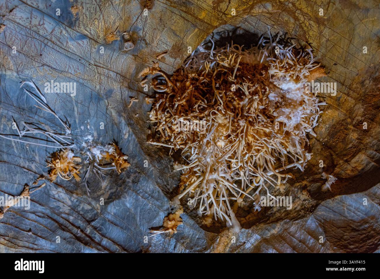 Ochtinska aragonite cave in Slovakia.IMAGE Stock Photo - Alamy