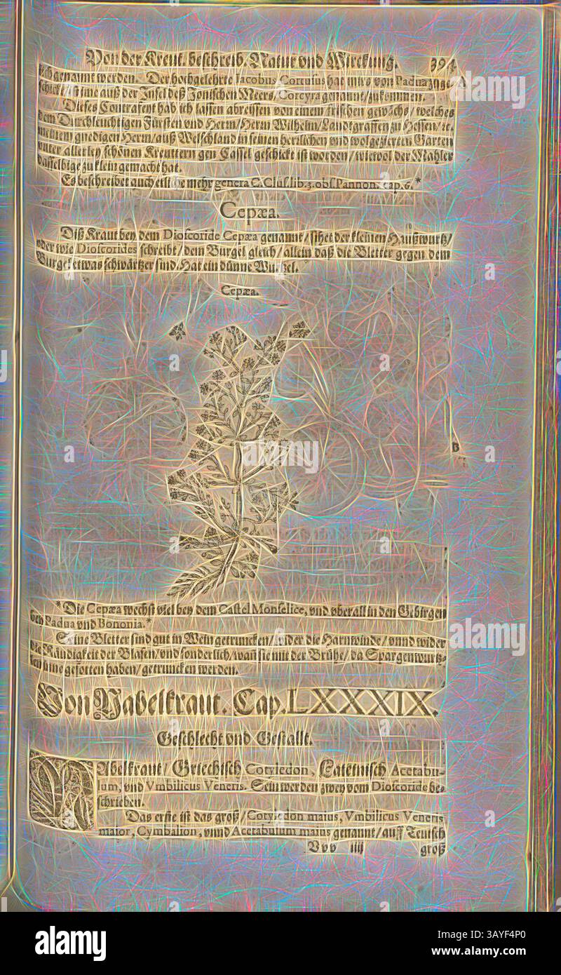 An aged document featuring intricate text and ornate embellishments ...