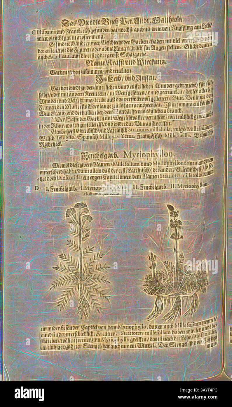 Showcasing two different plant species hi-res stock photography and ...