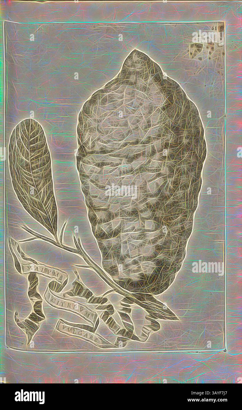 Artistic fruit symmetry hi-res stock photography and images - Alamy