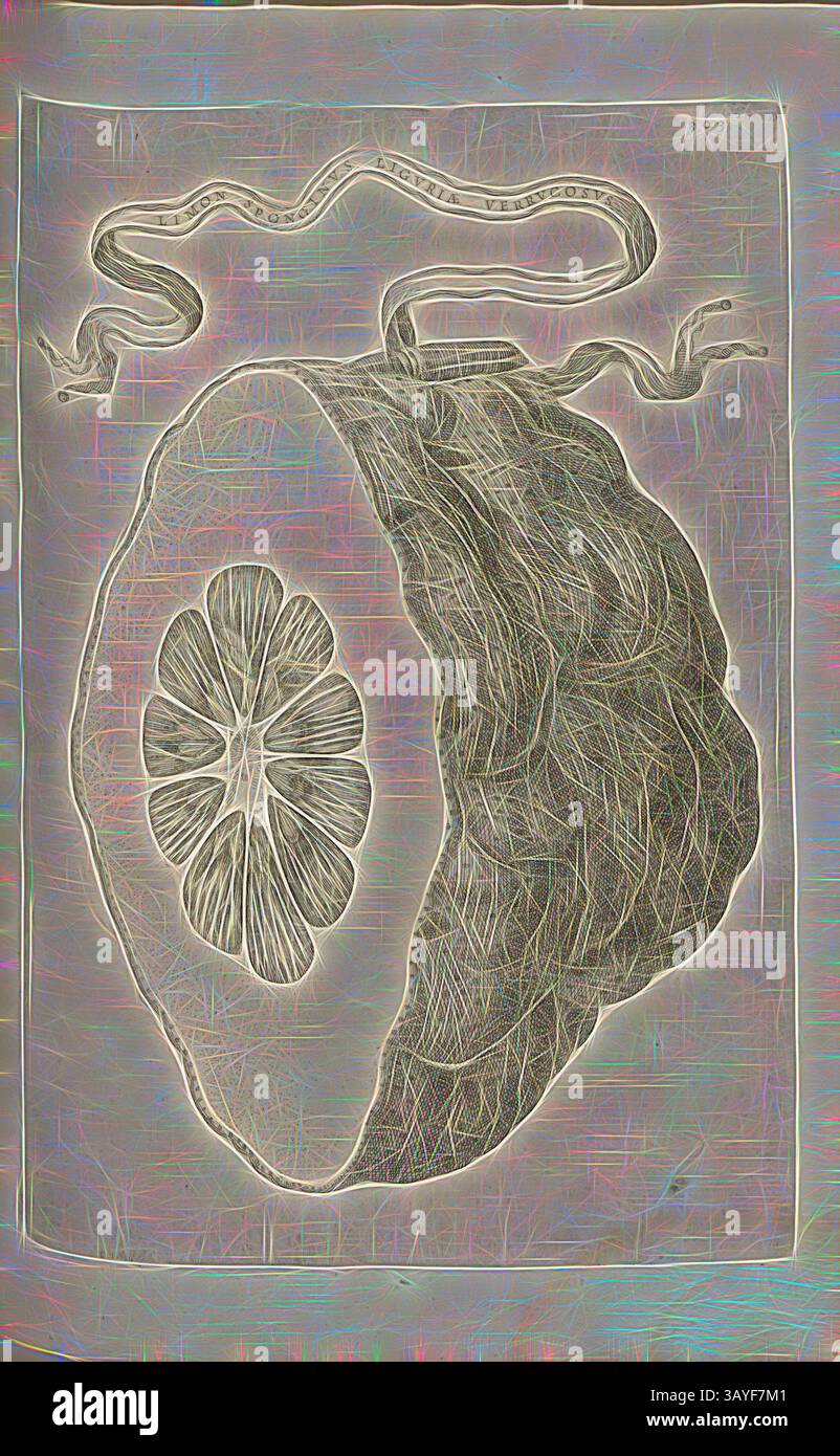 Linework fruit hi-res stock photography and images - Alamy