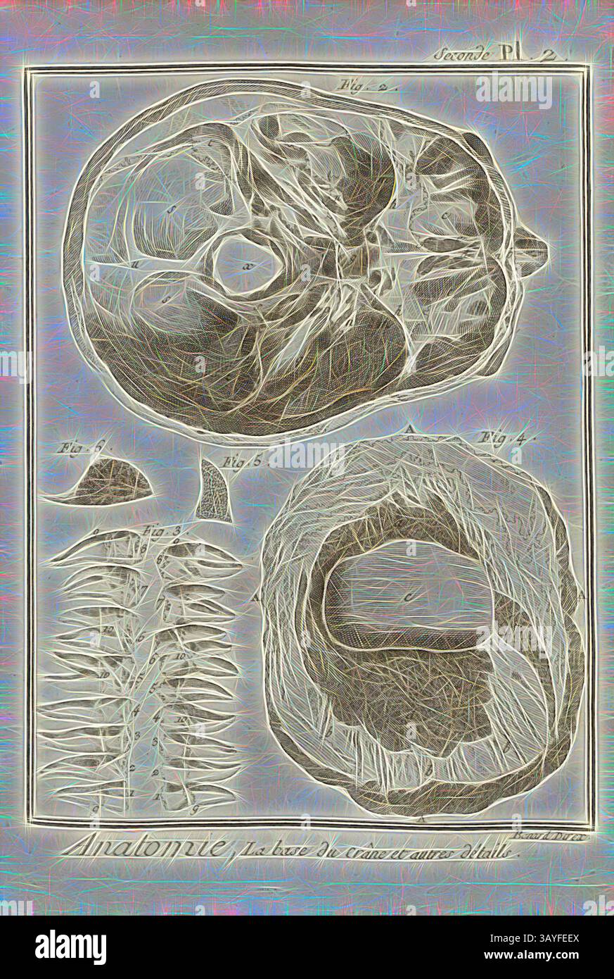 Intricate details of vertebral anatomy hi-res stock photography and ...