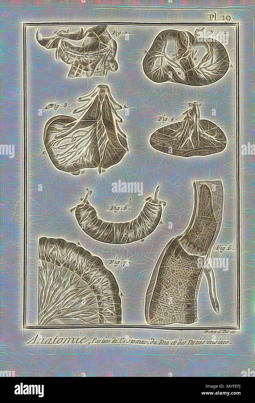 An intricate illustration depicting various botanical structures ...