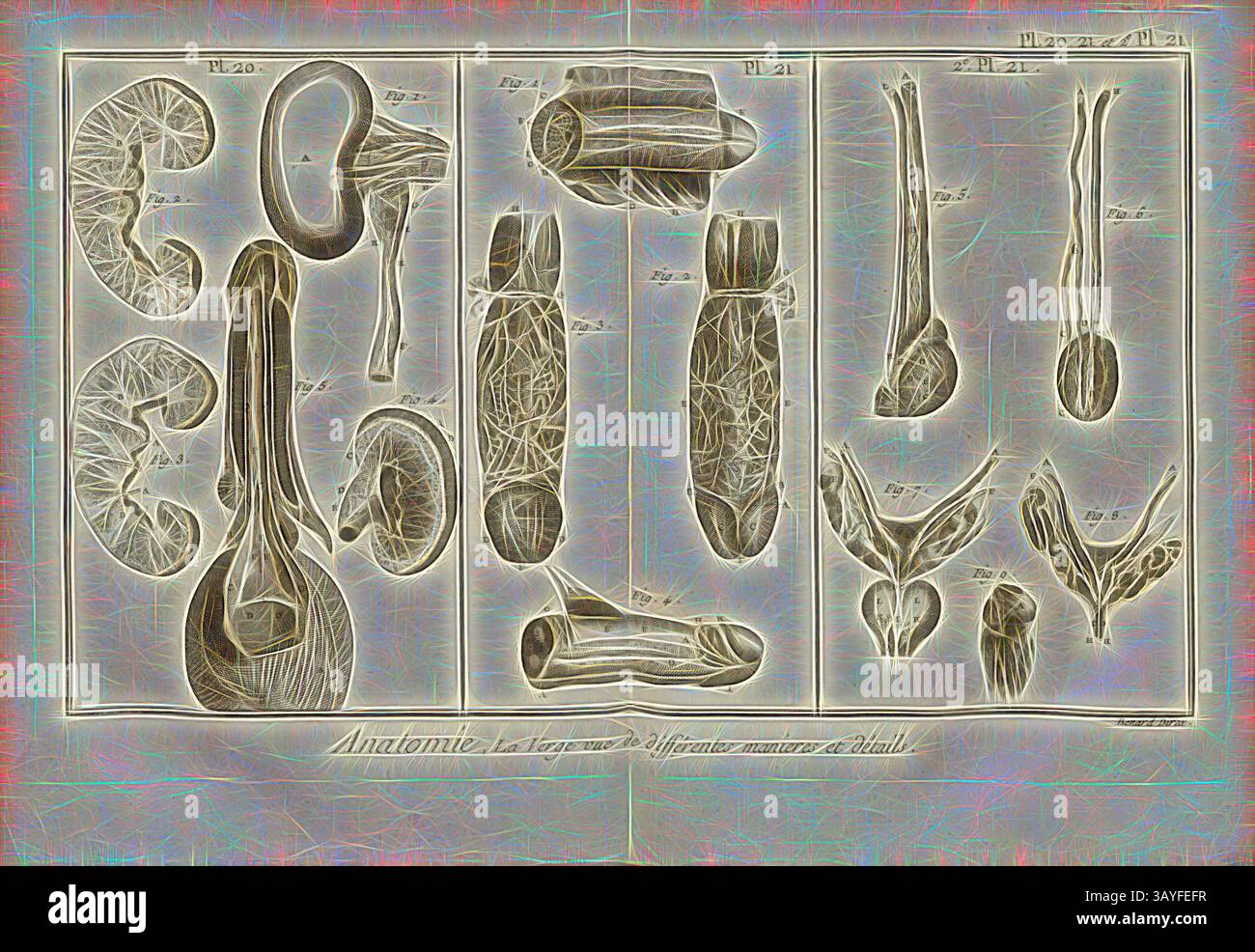 Human anatomy different organs illustration hi-res stock photography ...