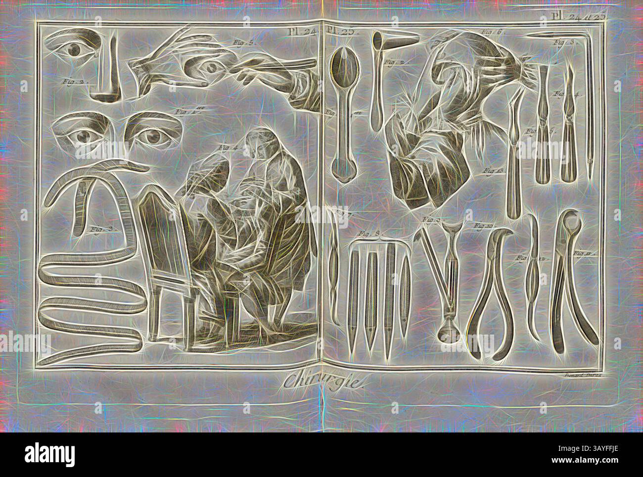 Includes detailed anatomical drawings hi-res stock photography and ...