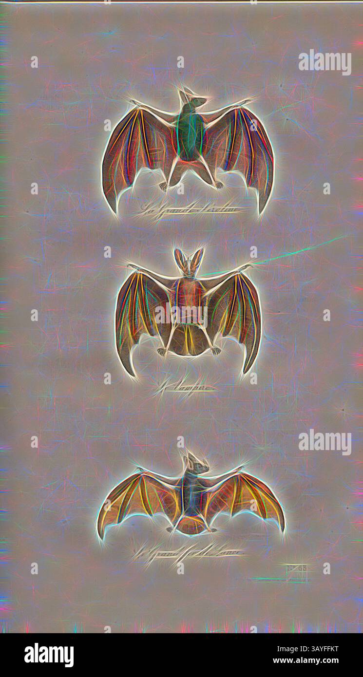 Trio of stylized bat illustrations hi-res stock photography and images ...