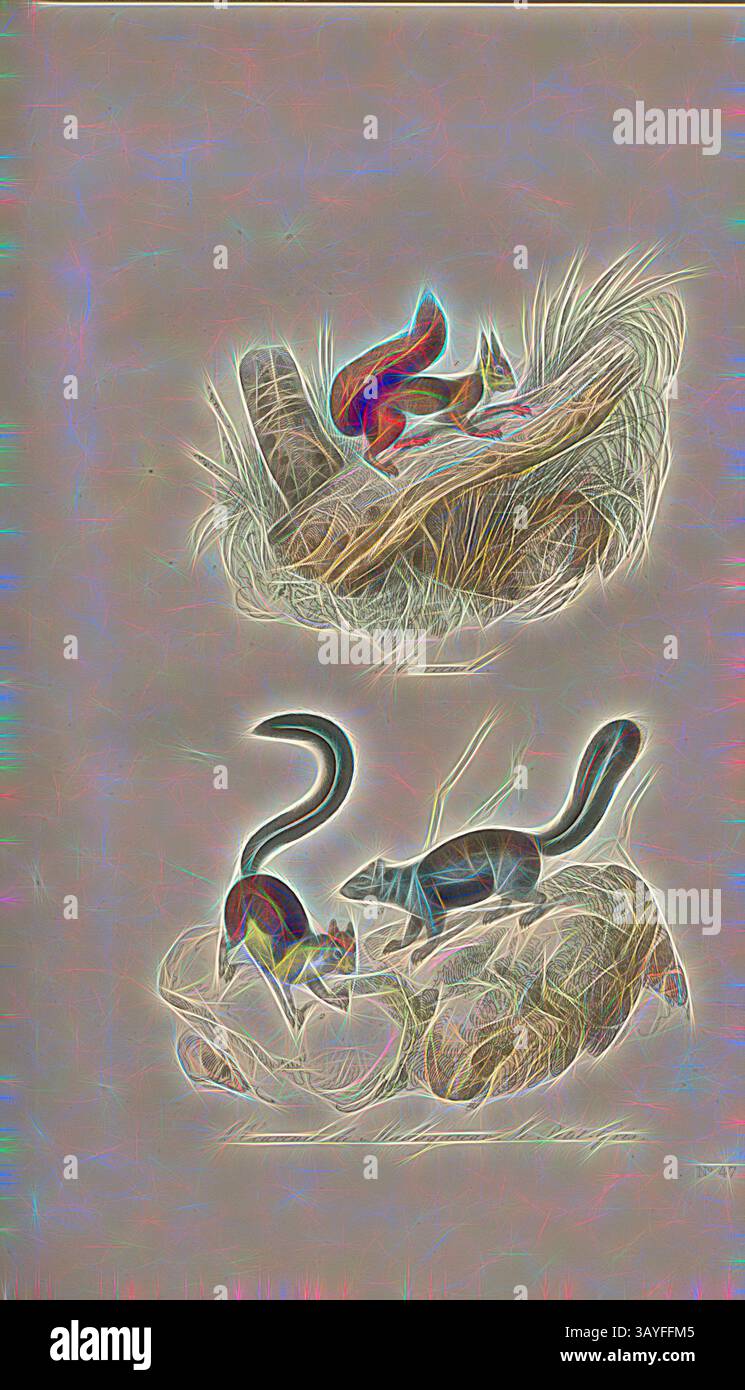 A whimsical depiction of two scenes: one features a squirrel nestled in ...