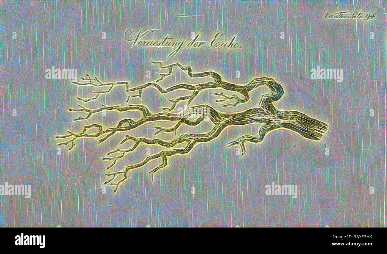 Twisting limbs highlighted hi-res stock photography and images - Alamy