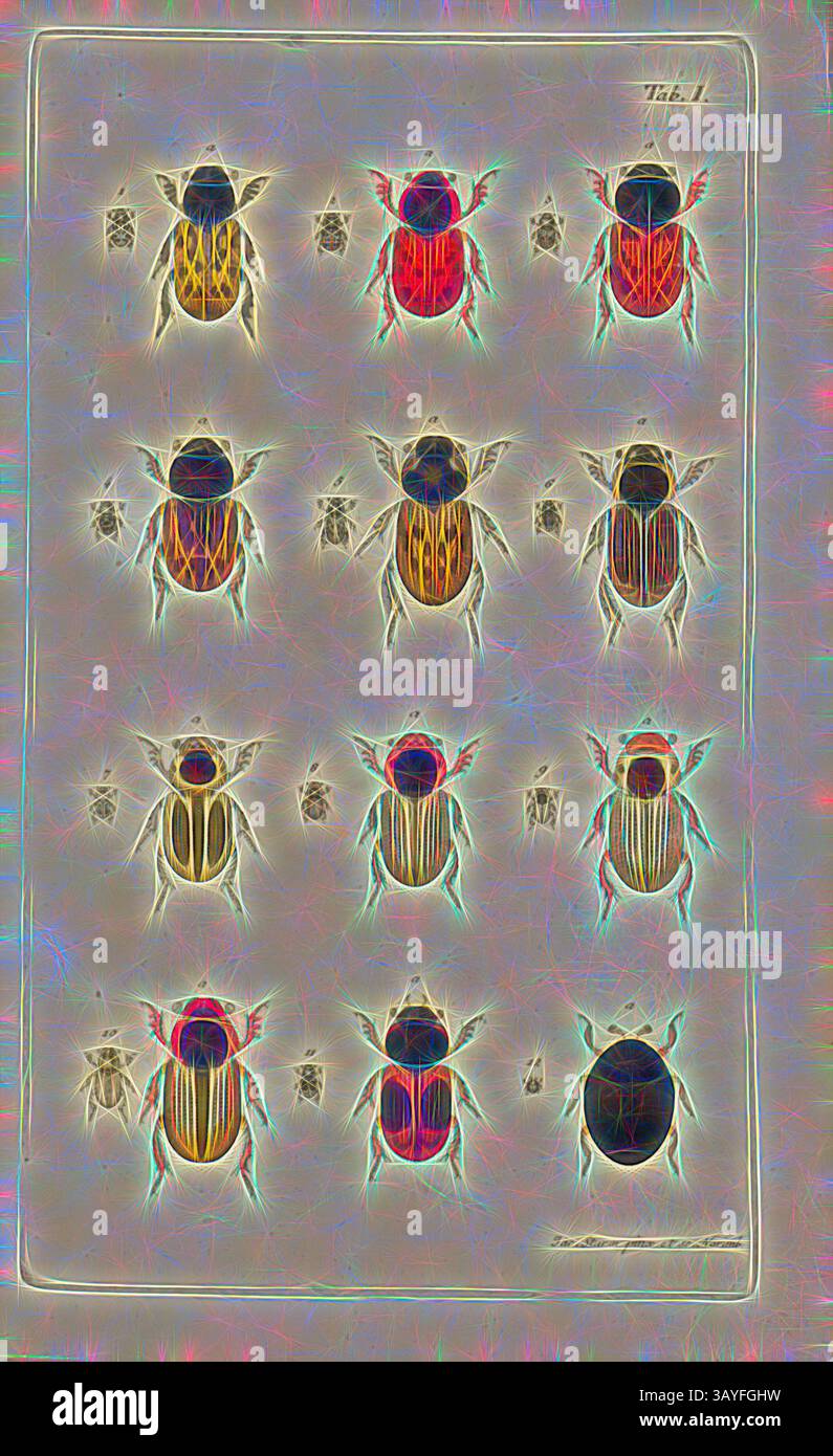 A collection of intricately designed beetles, showcasing a variety of ...