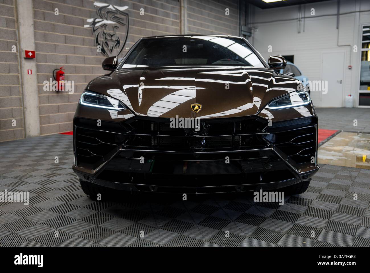 Close Up Front View of Dark Brown Lamborghini Urus in Showroom Stock ...