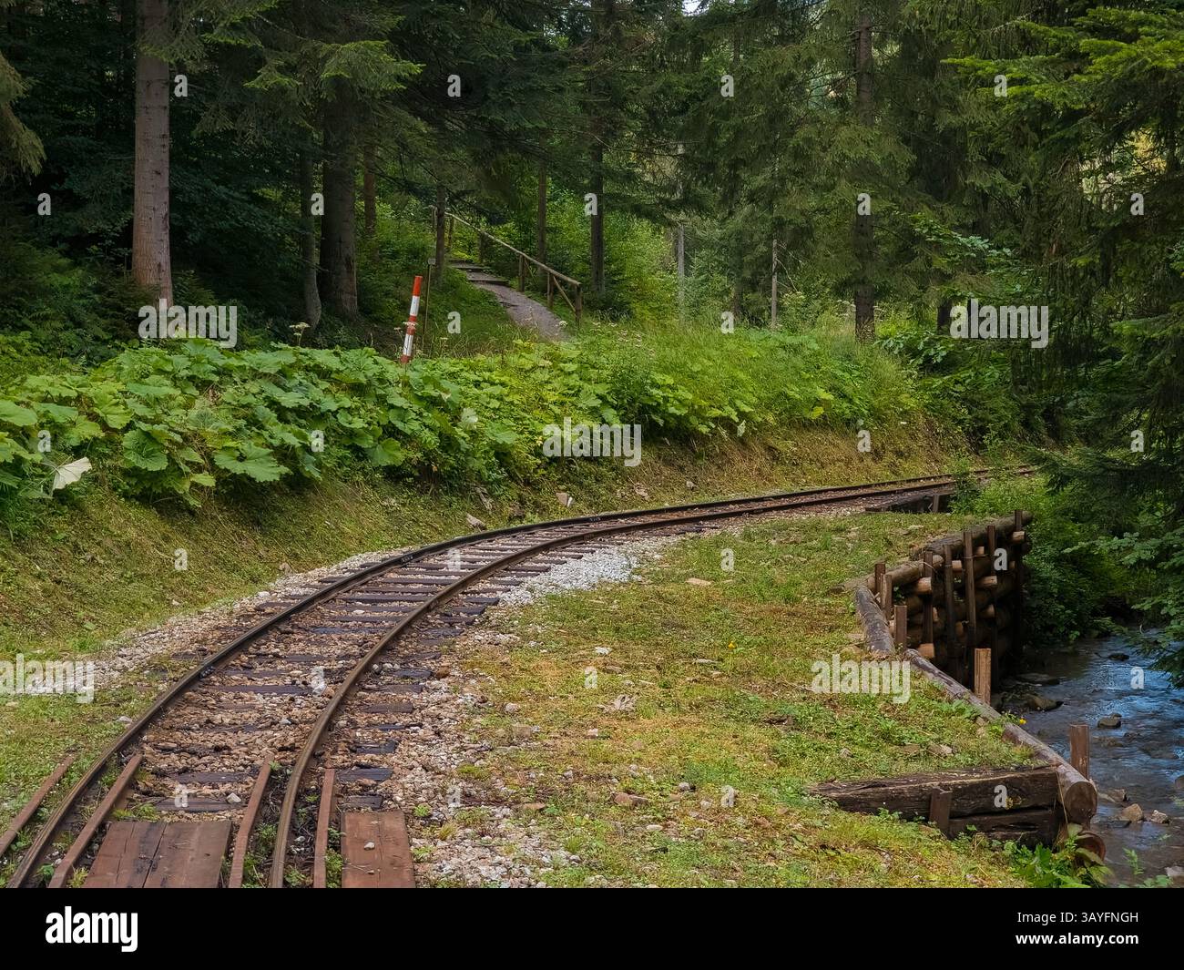 Logging switchback railway at Kysuce Village Museum in Nova Bystrica ...