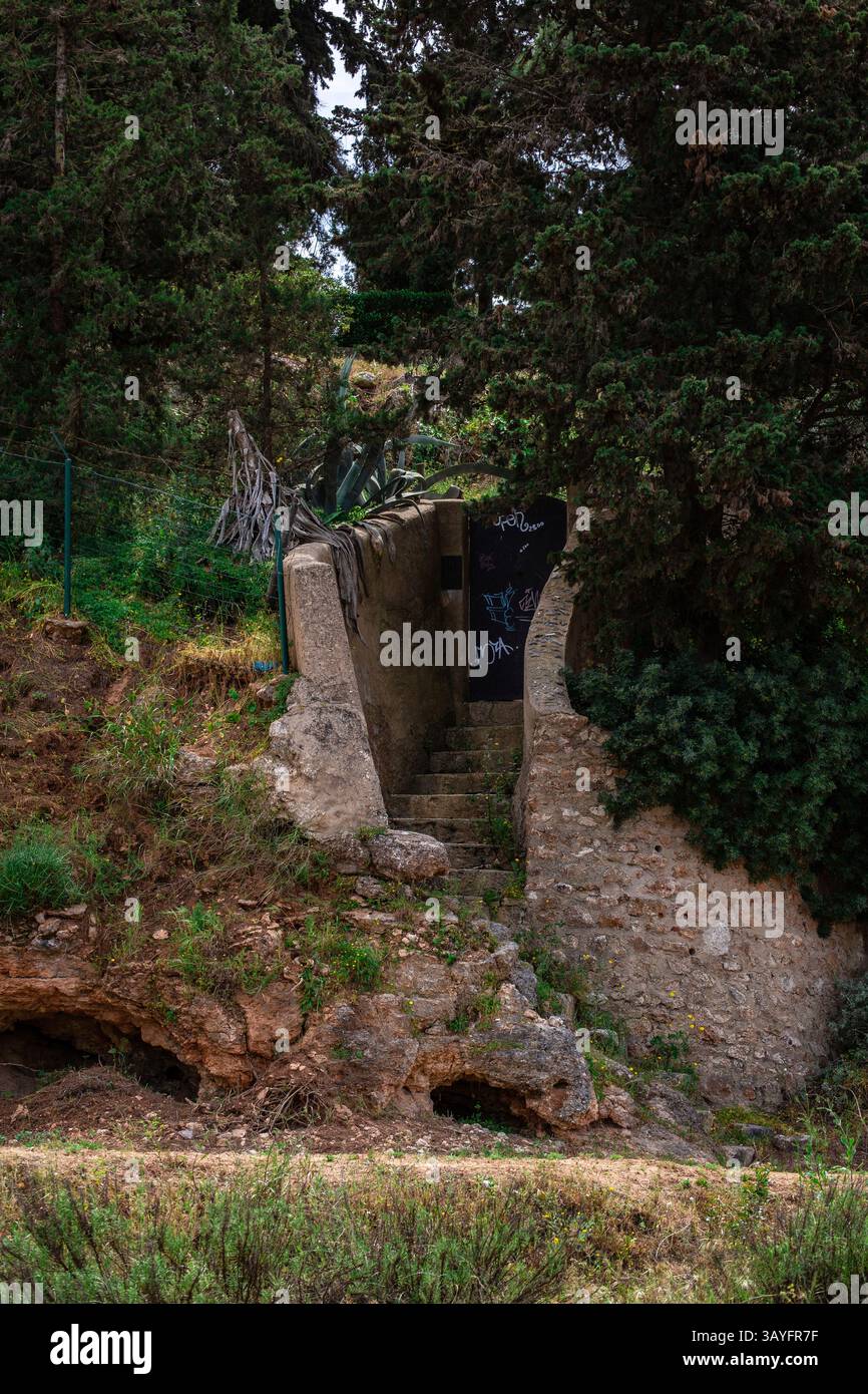 Hidden stone stairway to a mysterious door in the forest Stock Photo ...
