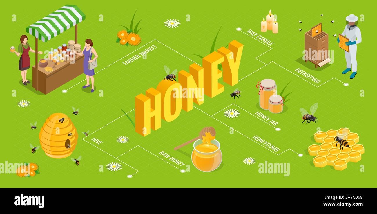 Inspecting insects Stock Vector Images - Alamy