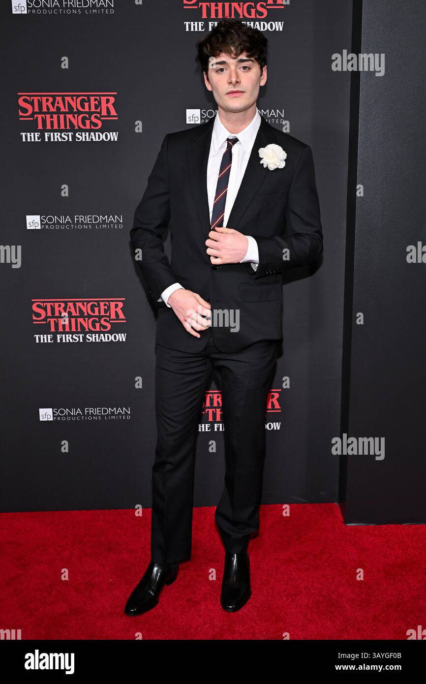 Noah Schnapp attends "Stranger Things: The First Shadow" Broadway ...