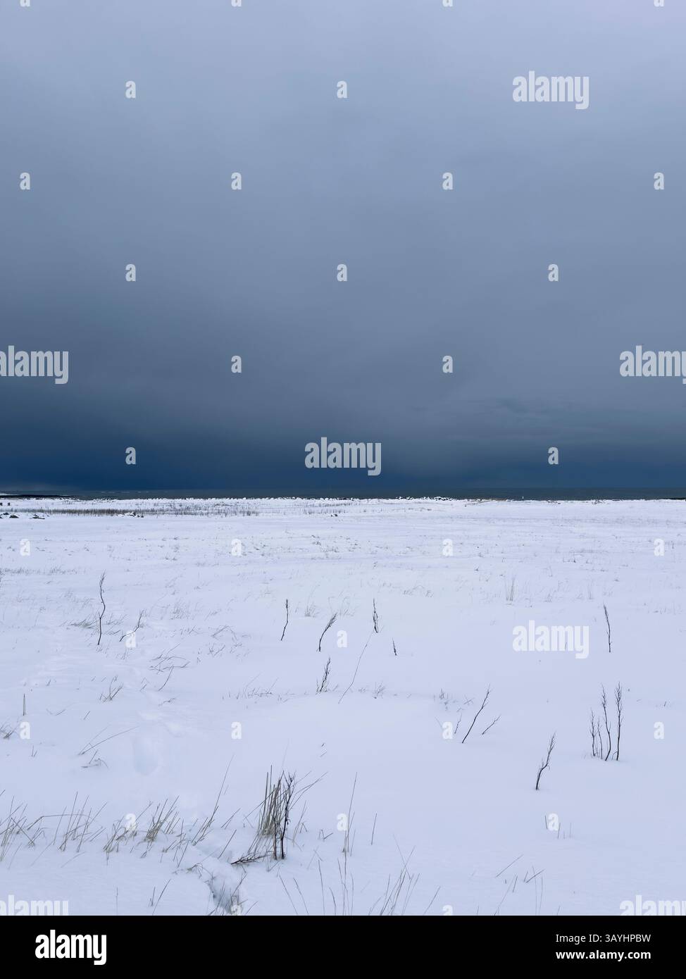 Snowy field with dramatic gray sky Stock Photo - Alamy