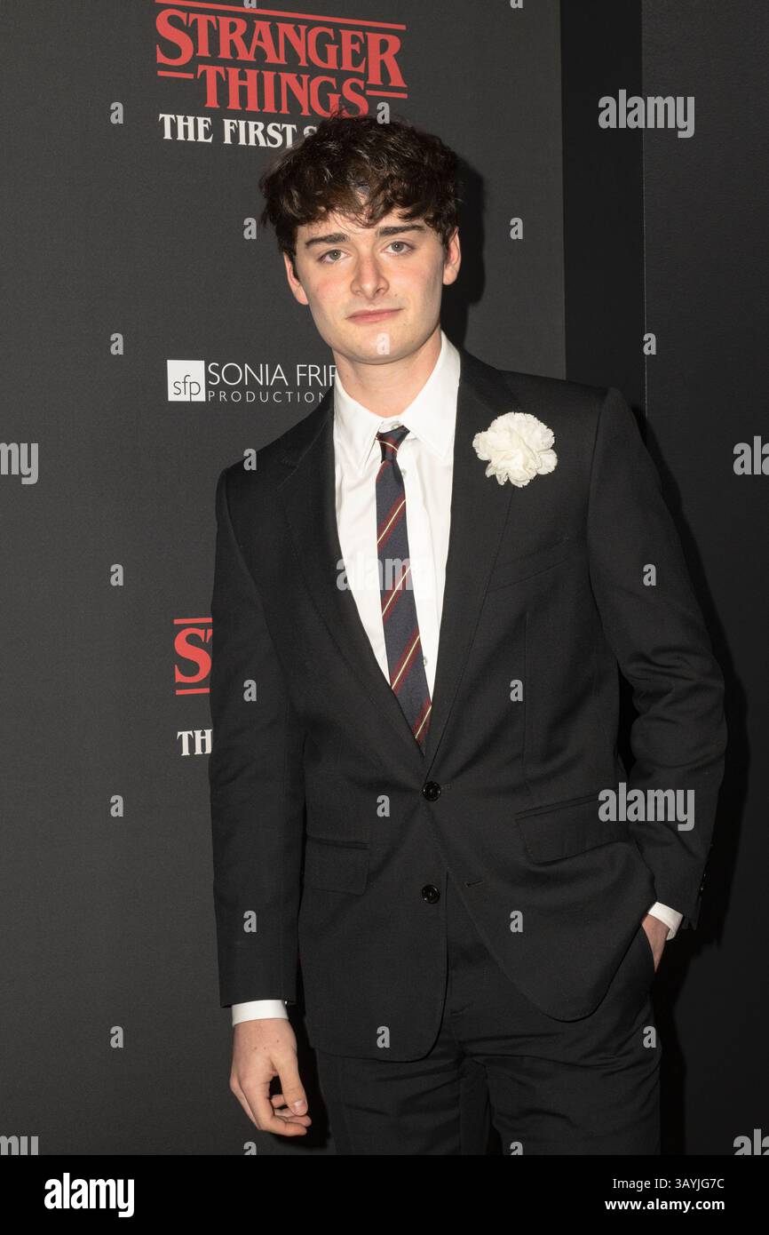 New York, USA. 22nd Apr, 2025. Noah Schnapp attends the opening night ...
