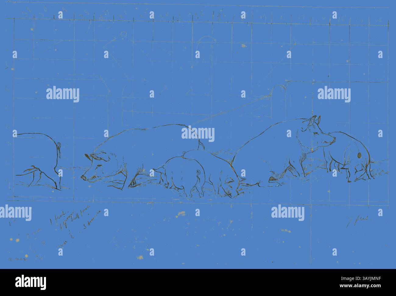 A group of pigs is depicted in a stylized outline, with a grid ...