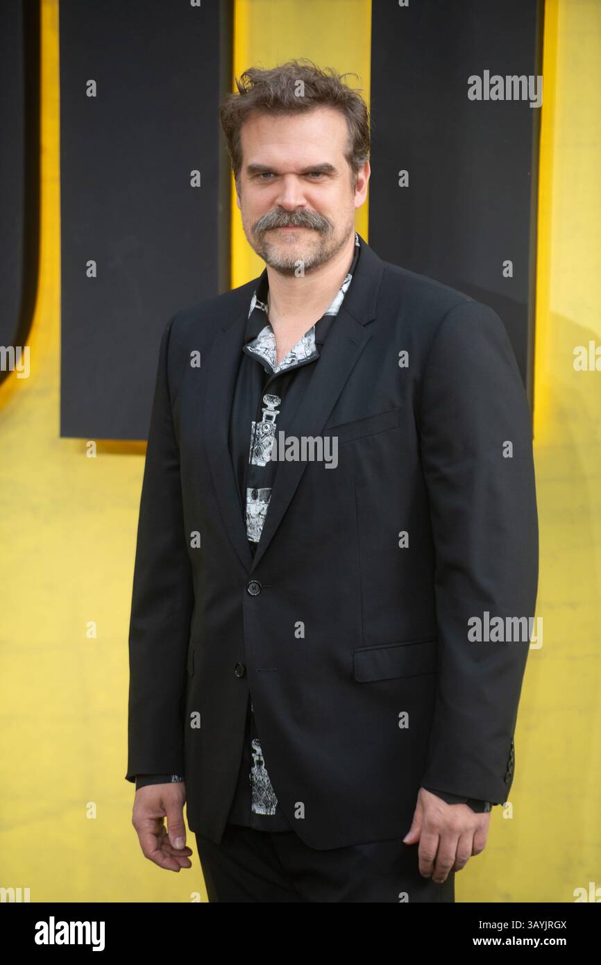 London, UK. 22 Apr, 2025. Pictured: David Harbour attends The European ...