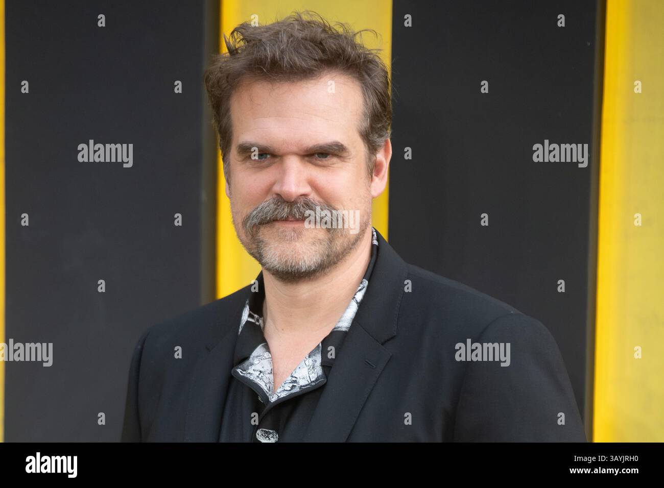 London, UK. 22 Apr, 2025. Pictured: David Harbour attends The European ...