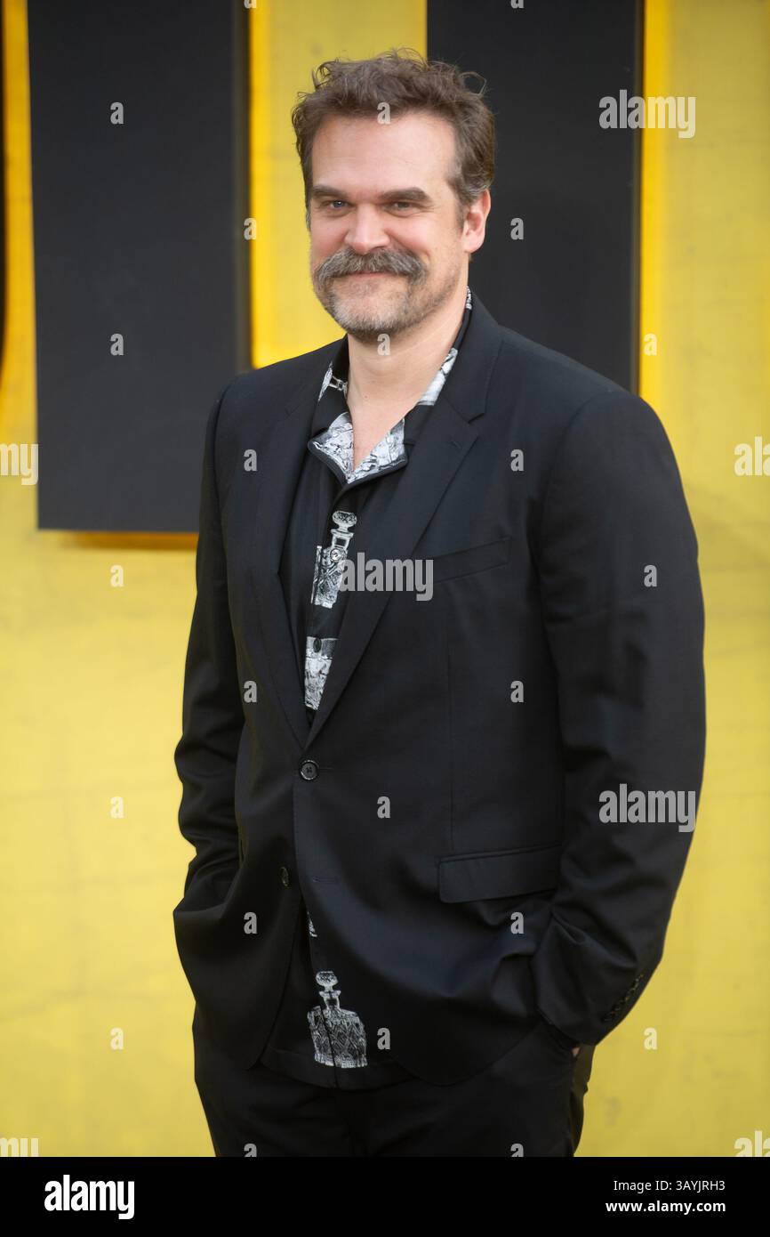 London, UK. 22 Apr, 2025. Pictured: David Harbour attends The European ...