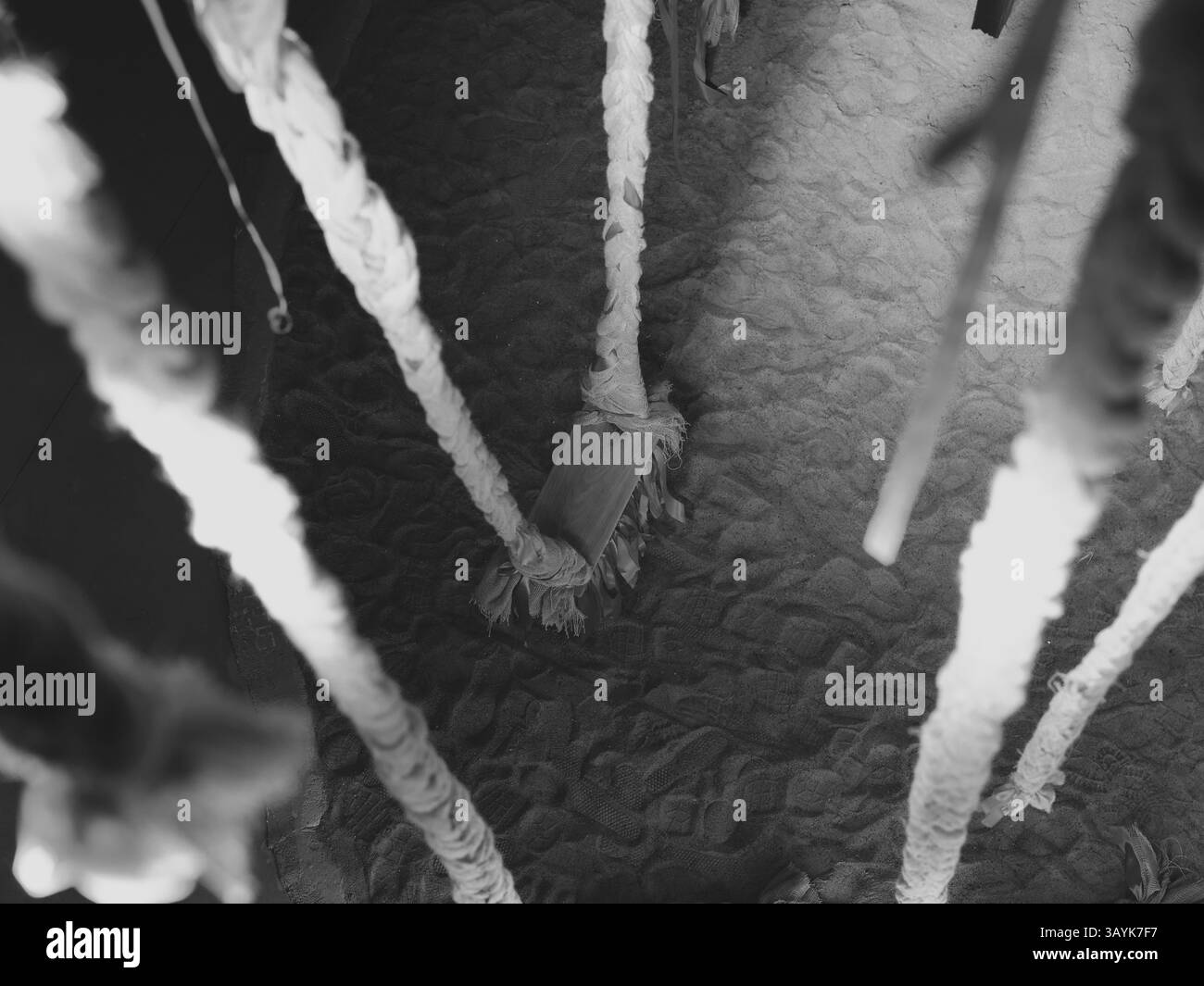 An Abstract Black and White Scene with Textured Elements, creating a ...