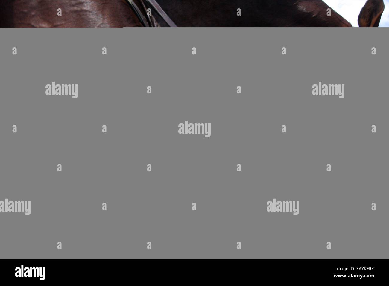 Club mexicano hi-res stock photography and images - Alamy