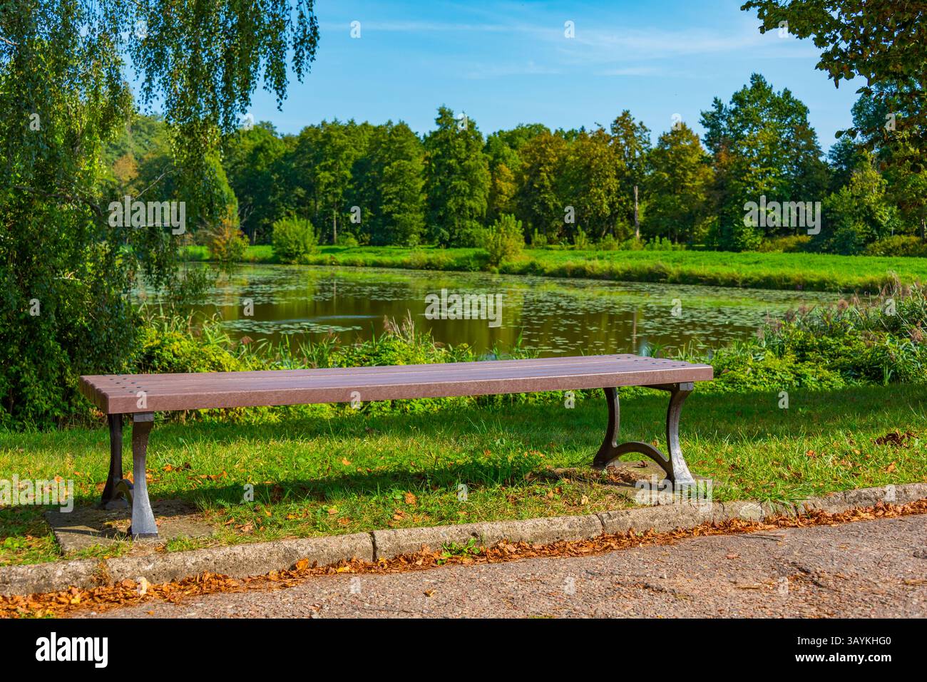 Pond at Bialowieza town in Poland.IMAGE Stock Photo - Alamy