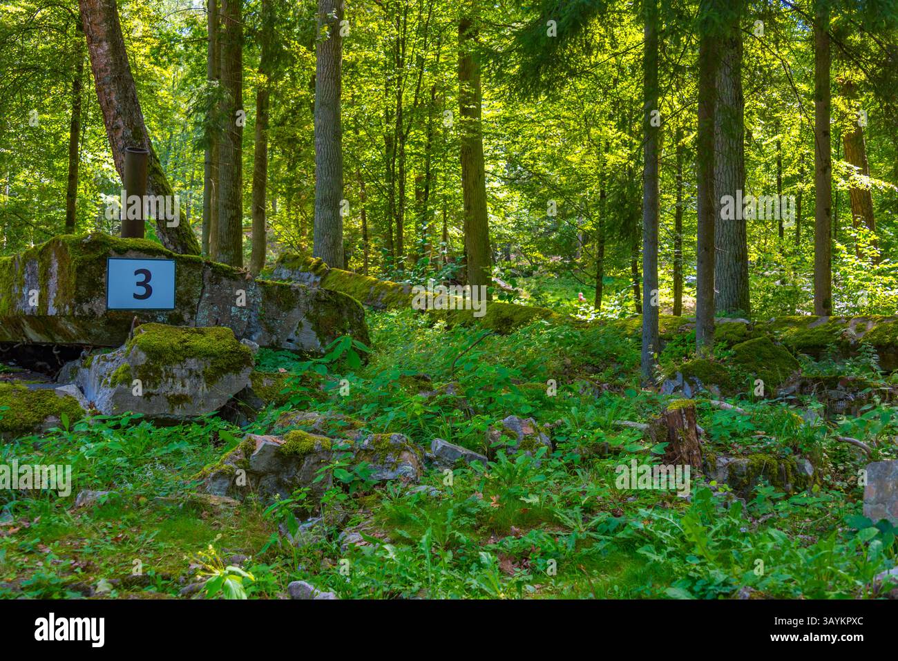 Ruins of wolfs lair bunkers used by Adolf Hitler during the second ...