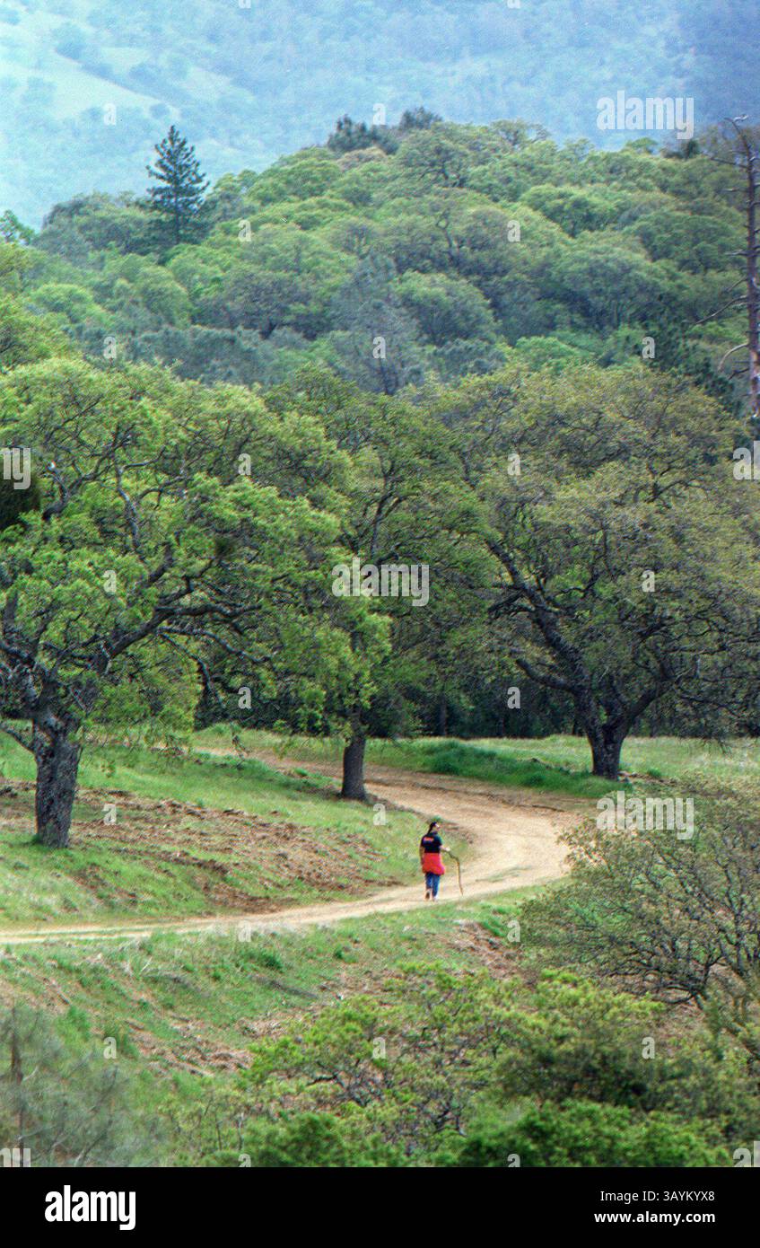 Apr. 12, 1995 - Henry Coe State Park, CA, USA - Rick Hunt walking down ...