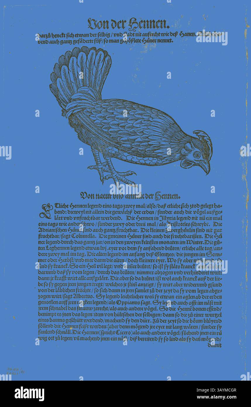 An elaborate illustration of a rooster, accompanied by text that ...