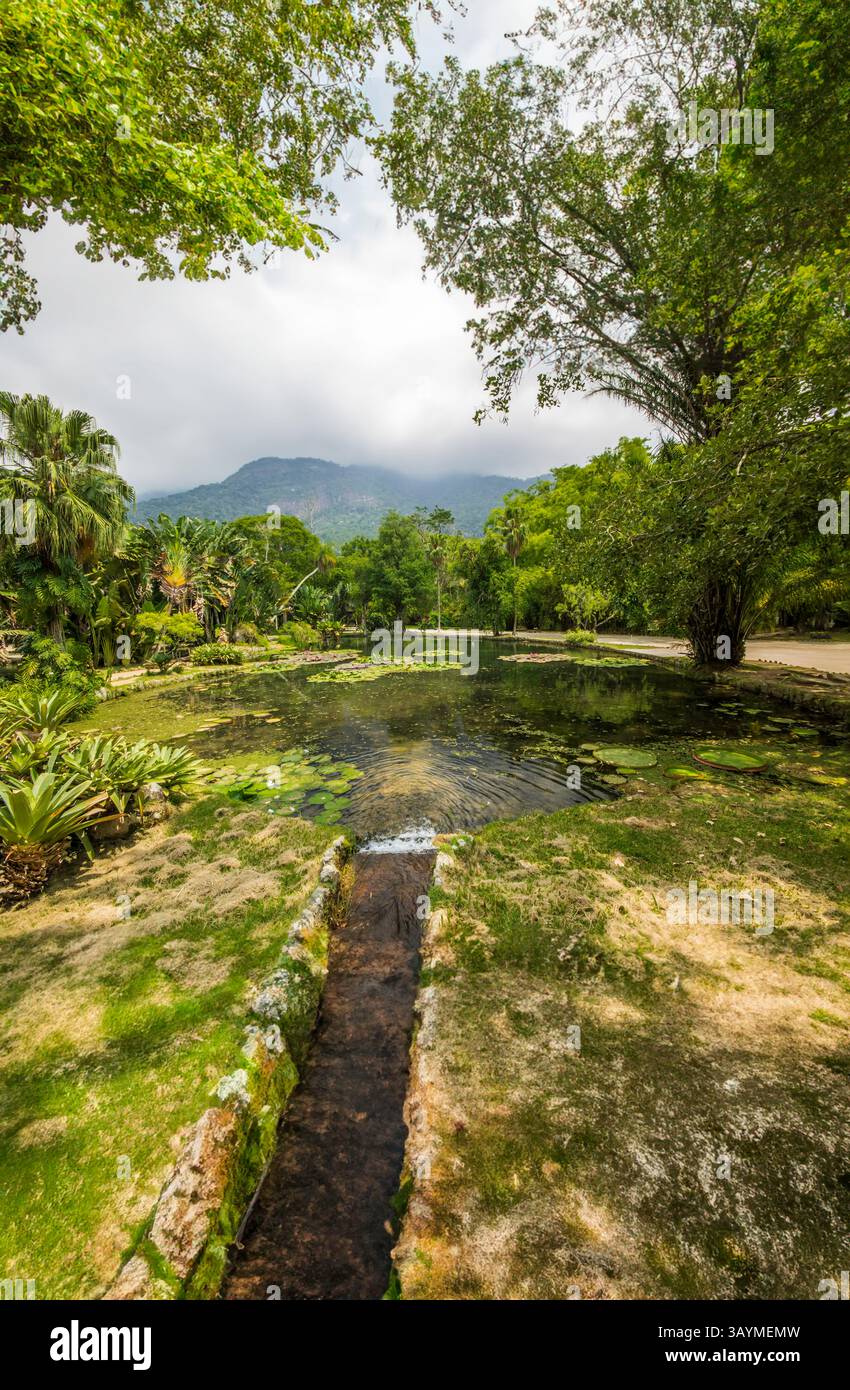 Tranquil pond reflects lush hi-res stock photography and images - Alamy