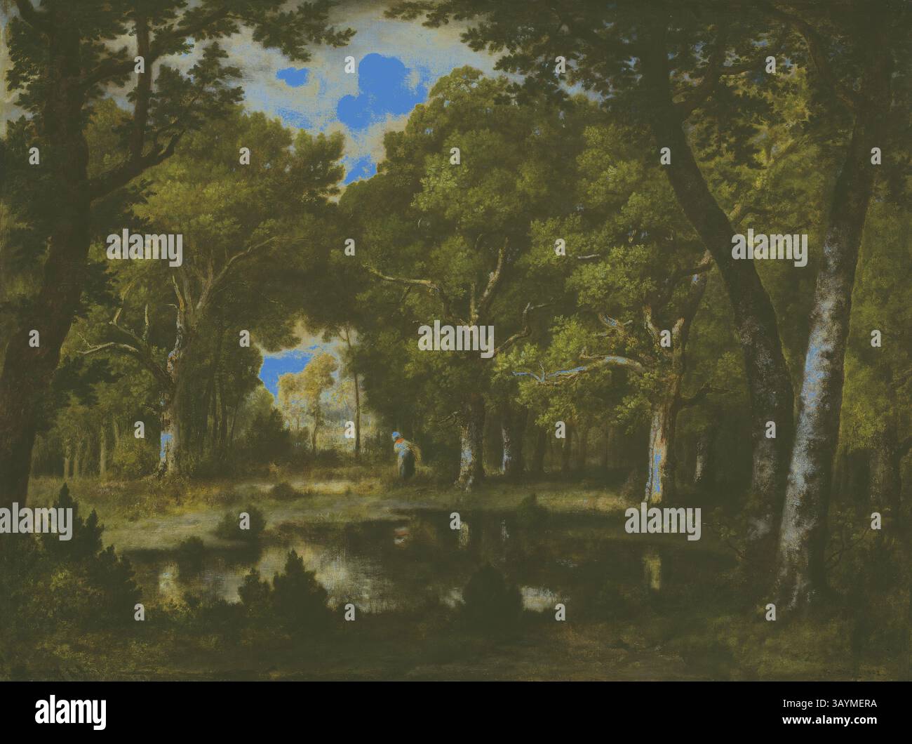 Pond life animation hi-res stock photography and images - Alamy