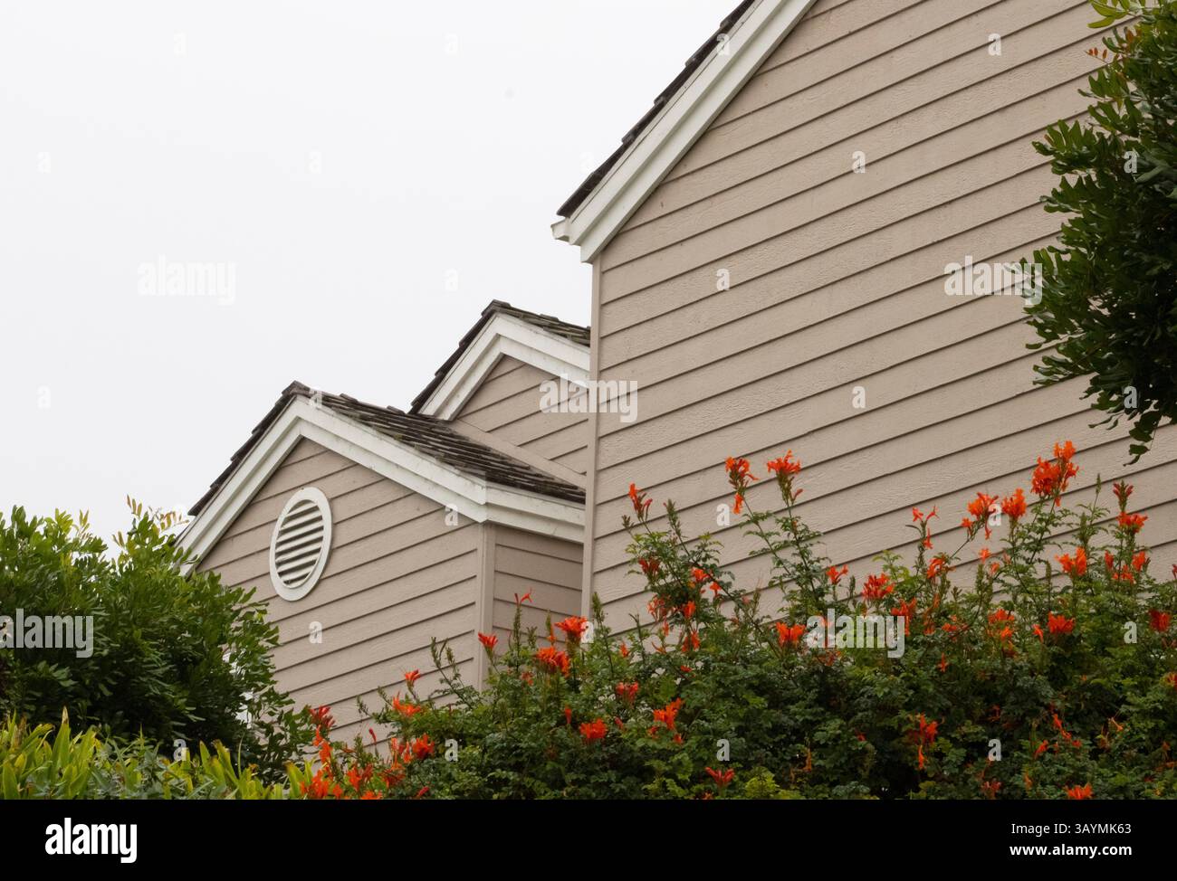 Pastel house panels hi-res stock photography and images - Alamy