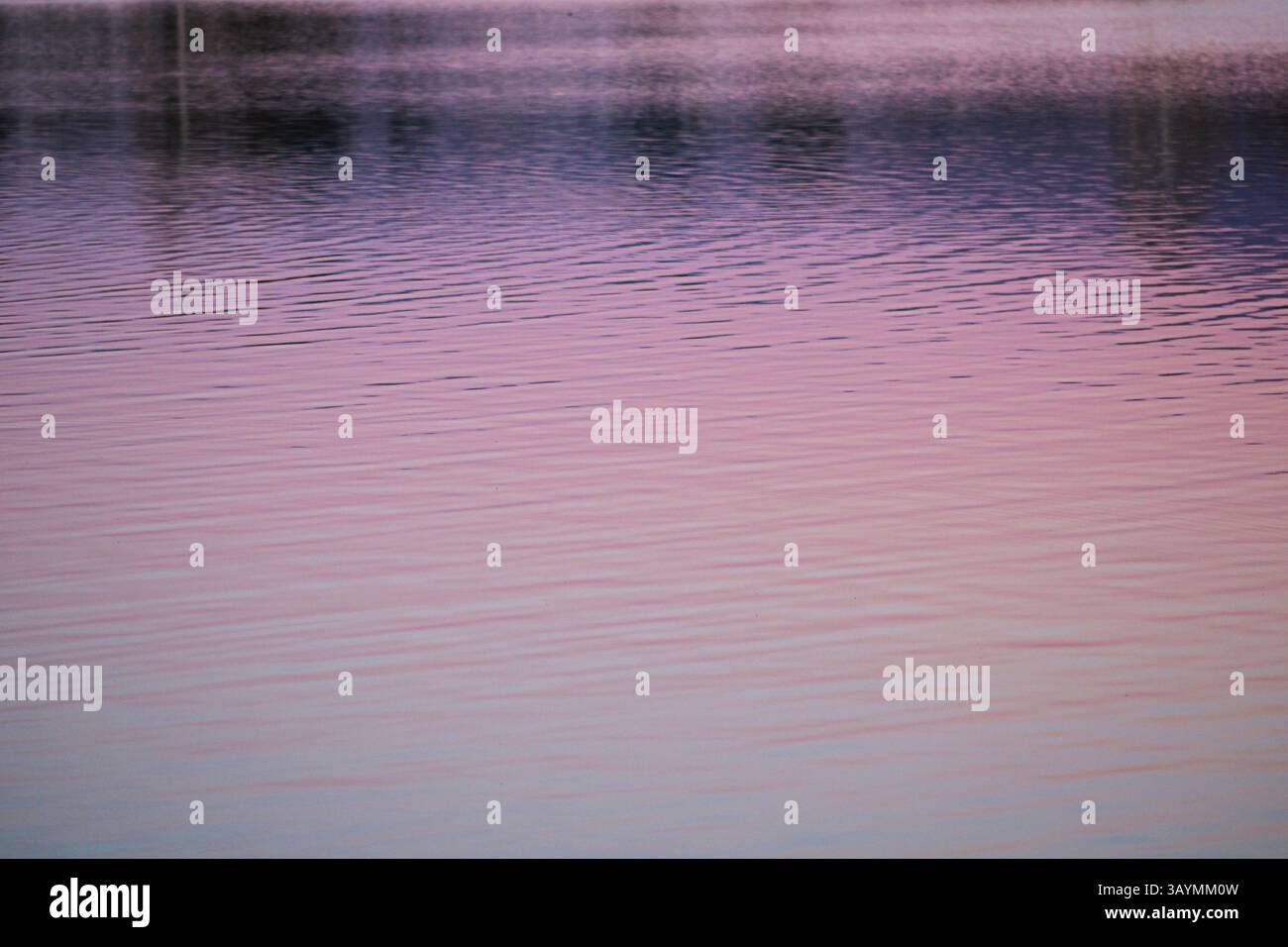 Beautiful sunset purple pink clouds hi-res stock photography and images ...