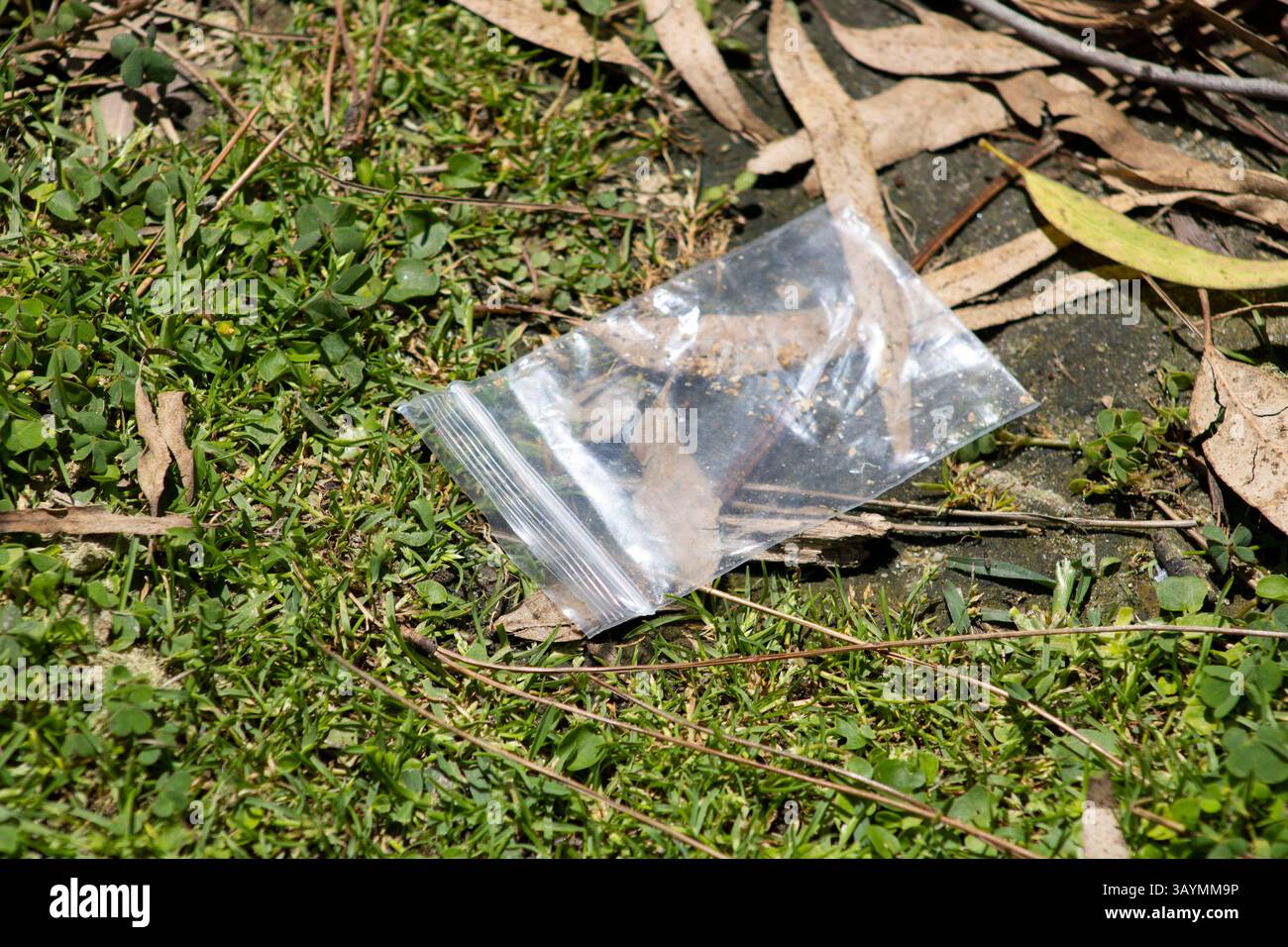 Plastic in grass hi-res stock photography and images - Alamy