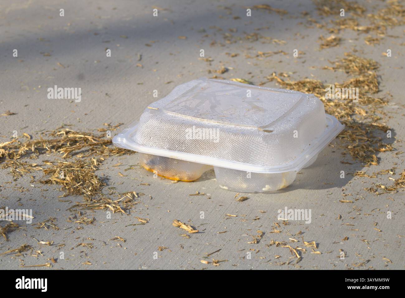 clear plastic food takeout container Stock Photo - Alamy