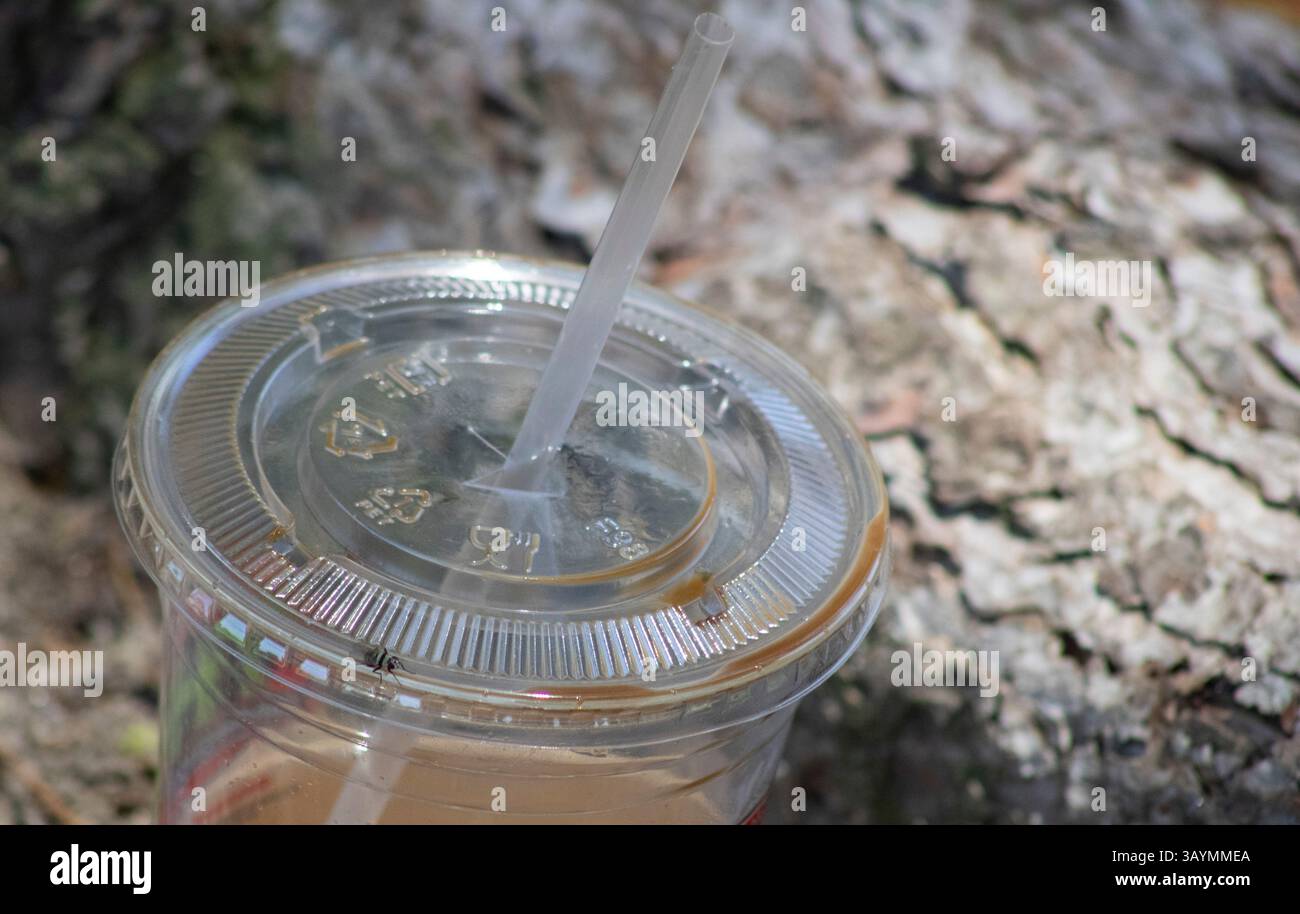 clear plastic drink takeout lid and straw Stock Photo - Alamy