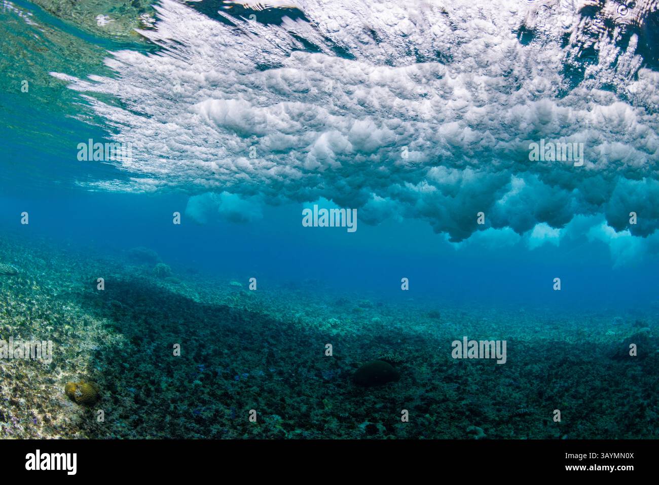 Unique underwater view of a wave breaking over a reef off the island of ...