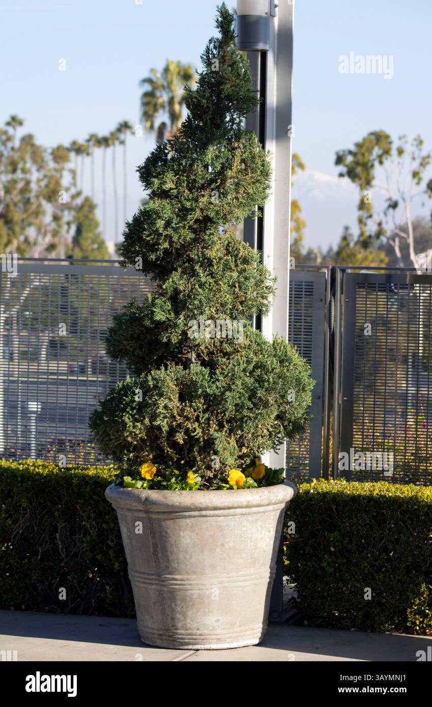Green potted plant indoor hi-res stock photography and images - Alamy